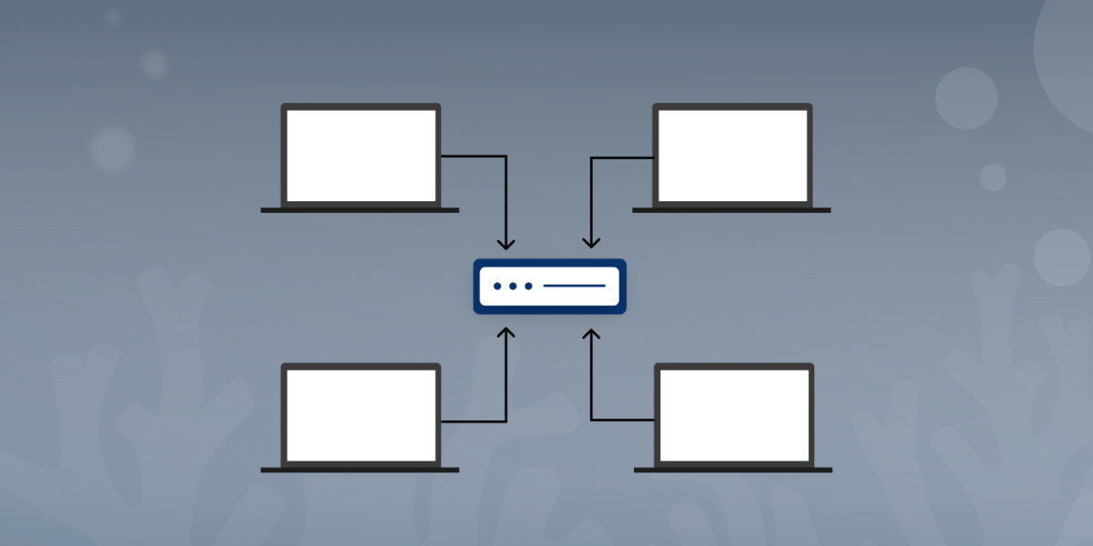 VPN vs. VLAN: What’s the Right Choice for Your Network - ExtremeVPN